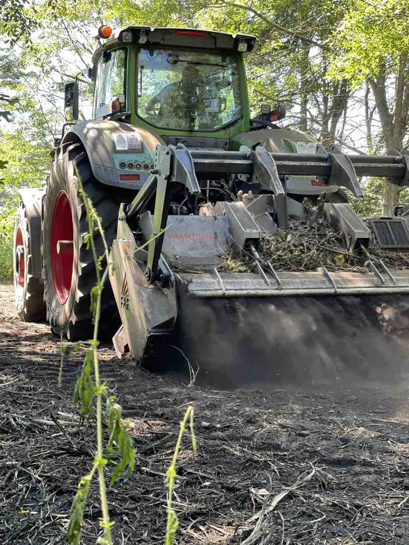 Untangling the Truth About Japanese Knotweed Treatment - brushtamer.com