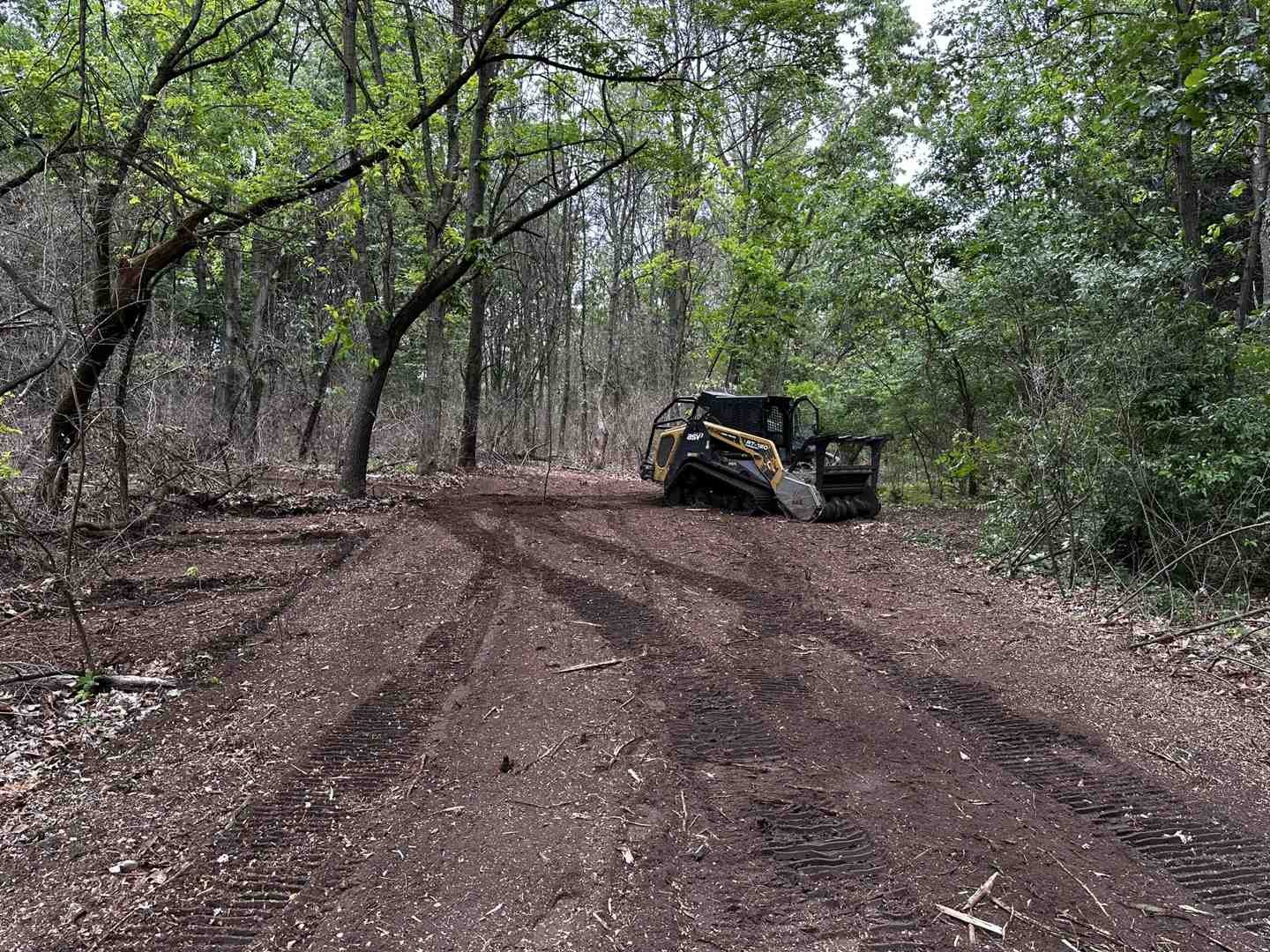 Sustainable Trail Design: 1 Ultimate Guide 2025